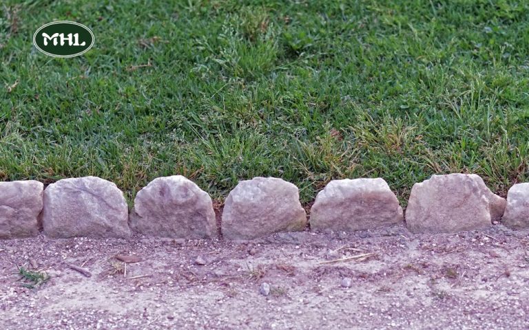 Best Landscape Edging Ideas for Your Creative Denver Yard