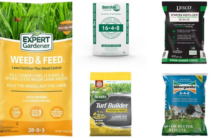 Best Organic Lawn Fertilizer: How to Pick the Right for Your Lawn?