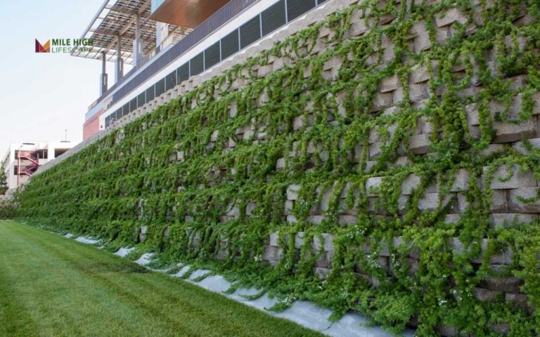 40+ Retaining Wall Ideas To Elevate Your Landscape [2026]