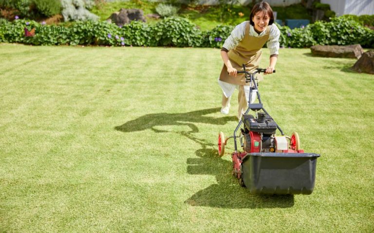 How Long to Wait to Mow After Lawn Treatment?