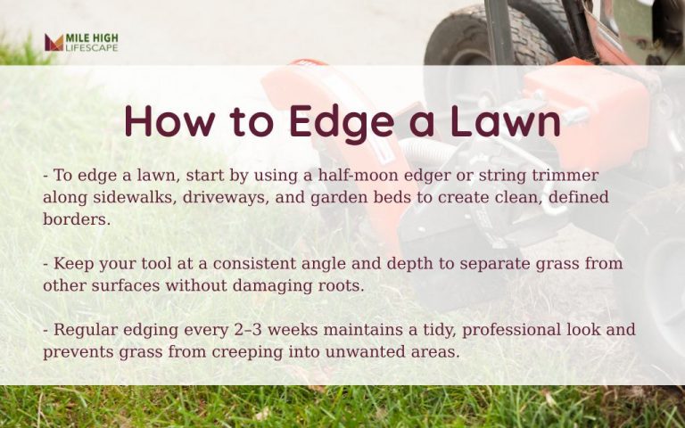 How to Edge a Lawn for The Perfect Landscaped Look in Denver