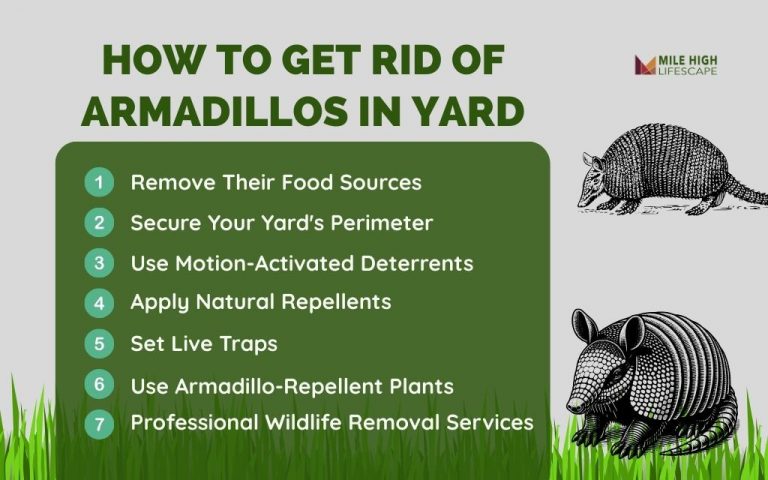 Ultimate Guide: How to Get Rid Of Armadillos in Yard for Good