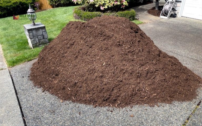 [2025] How Much Does a Yard of Topsoil Cover? Average Cost