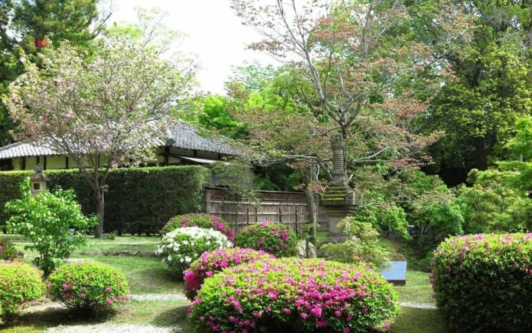 11 Japanese Rock Garden Ideas That Need Minimal Care
