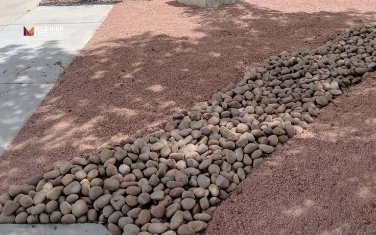 Coral Stone for Gardens: Complete Design & Care Guide